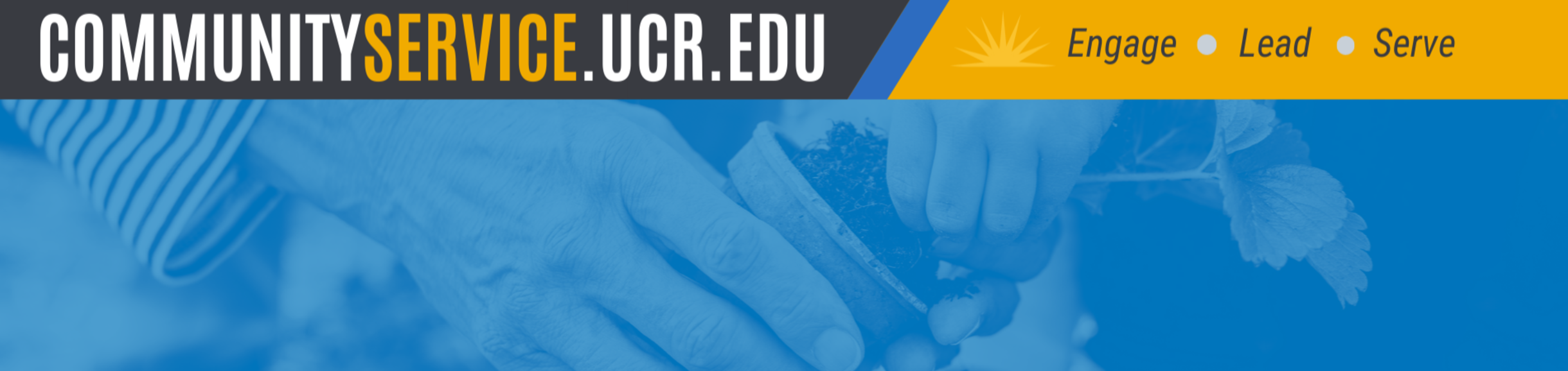 Community Service Portal Resources | Center for Undergraduate Research ...